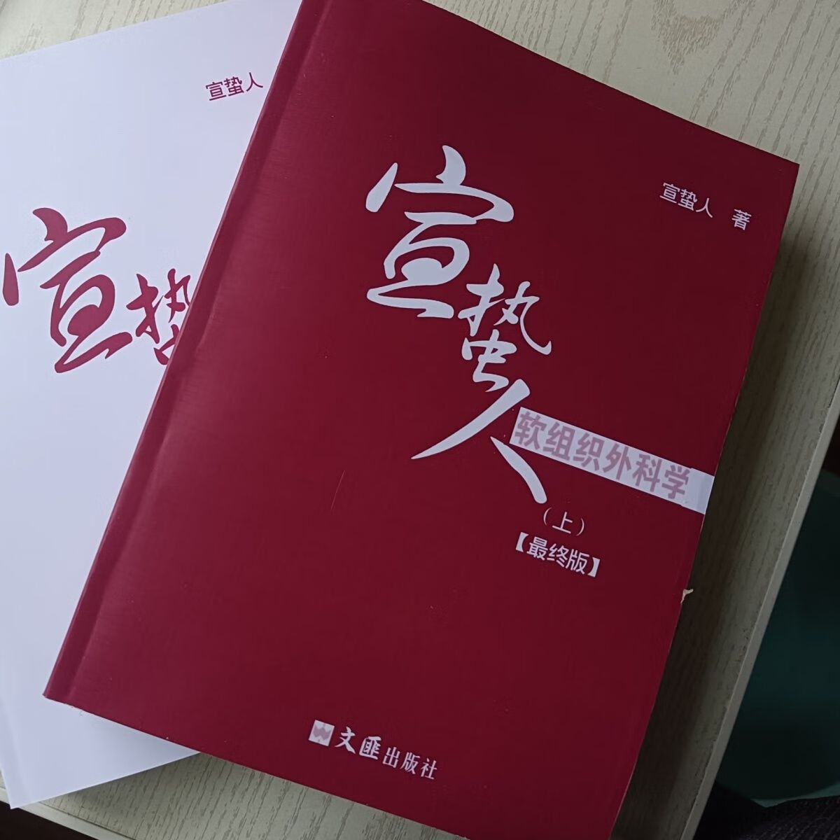 宣蛰人软外终版上下两本2本软损伤外