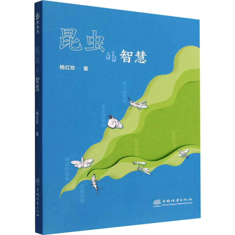 昆虫的智慧 杨红珍 书籍 图书