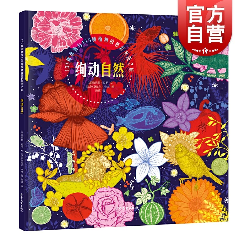 绚动自然