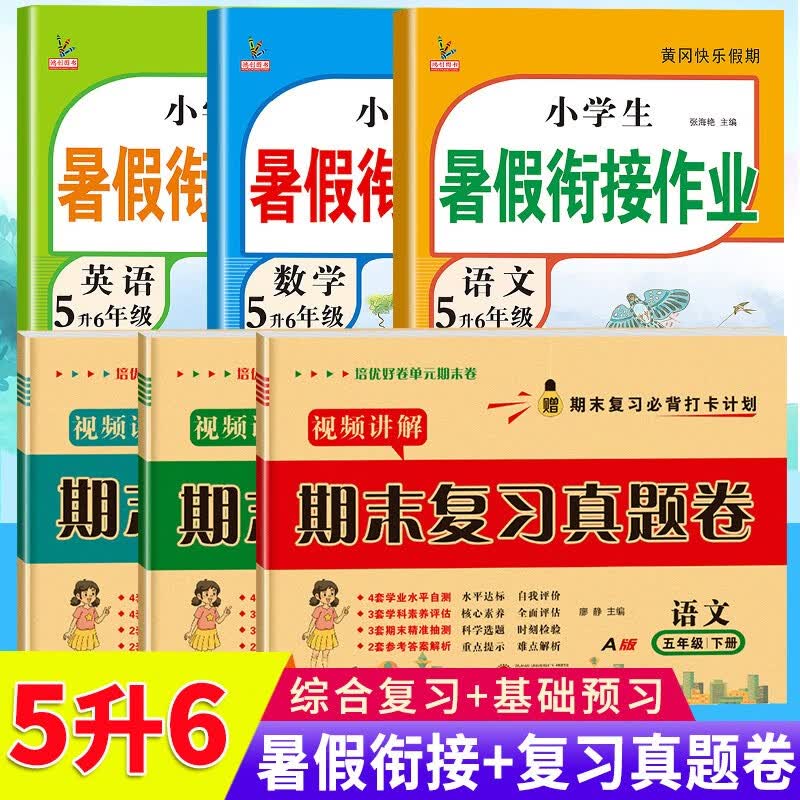 五年级下册期末试卷 暑假作业五升六人教版语文数学英语5年级下册期末冲刺100分测试卷期末复习真题卷暑假衔接作业 六本装：期末试卷+暑假作业 五年级下册系列·人教版
