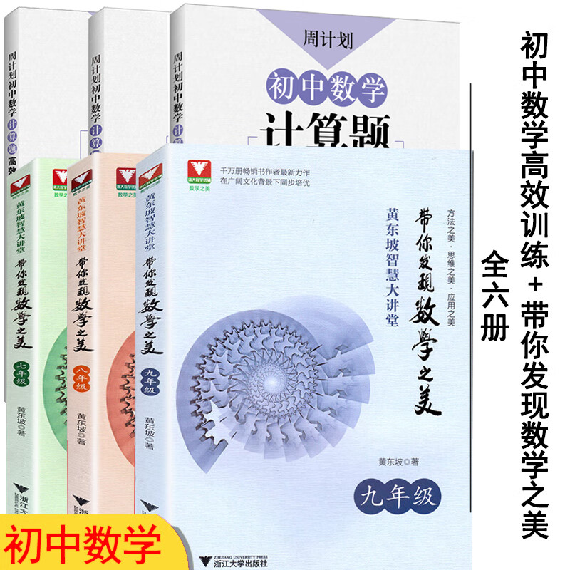2021新版周计划数学必刷题初中计算题高效训练练习题册初一初二初三专项训练789年级有理数加减乘除混合强化 初中数学计算题高效训练3册+带你发现数学之美3册（