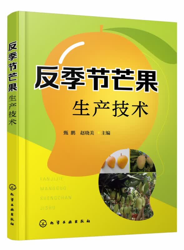 反季节芒果生产技术