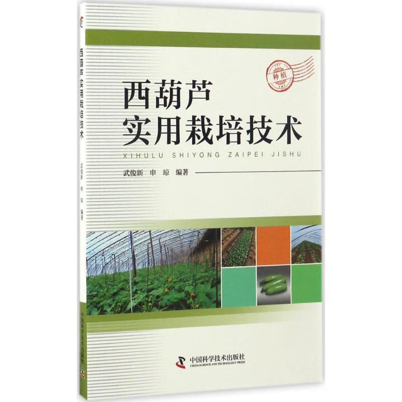 西葫芦实用栽培技术