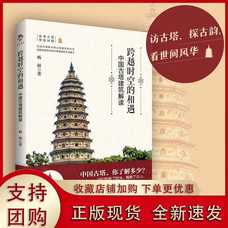 跨越时空的相遇：中国古塔建筑解读（彩印）