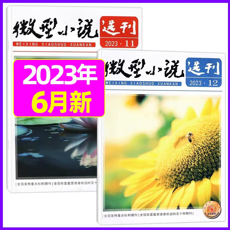7月新【全年/半年订阅】微型小说选刊杂志2023年1-12月篇小说原创故事非订阅文学过期刊 2023年6月 第11/12期