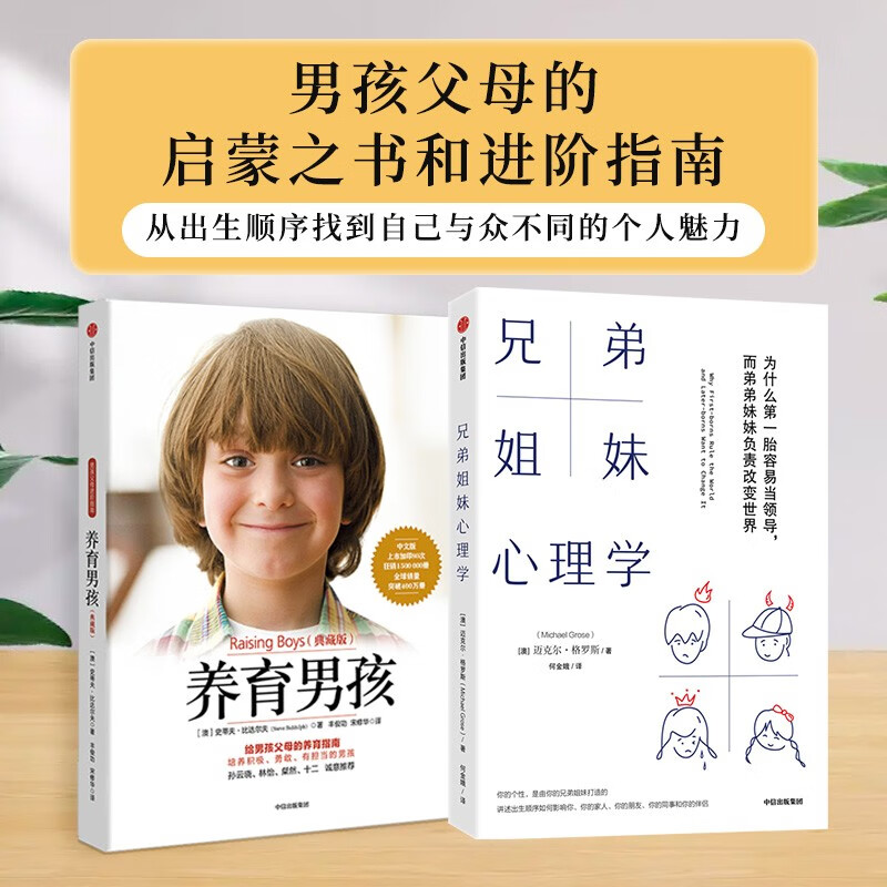【自营包邮】养育男孩+兄弟姐妹心理学 史蒂夫·比达尔夫 迈克尔·格罗斯 著 养育指南 家教育儿 中信出版社