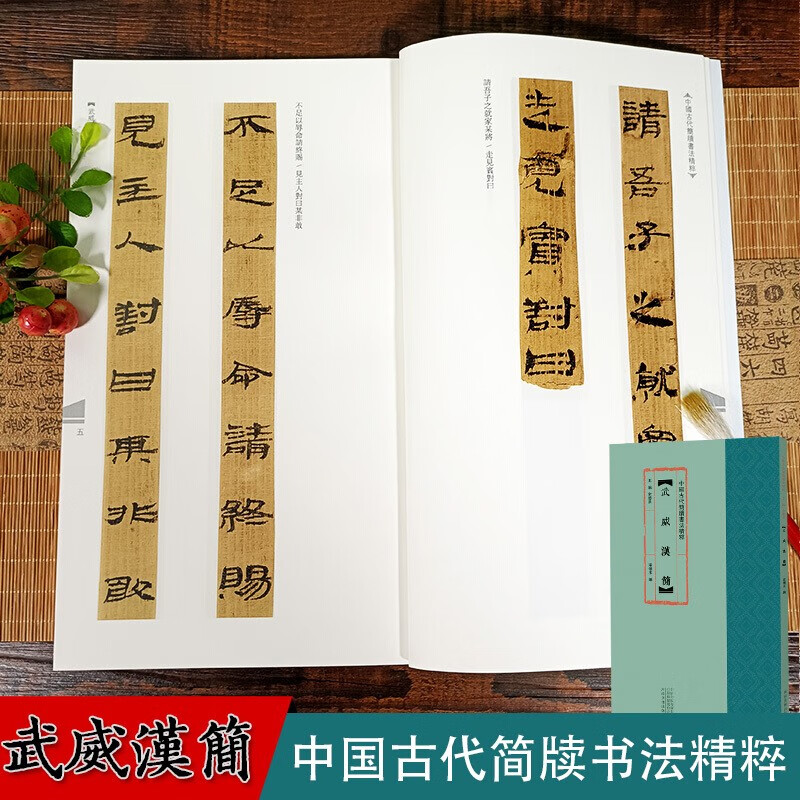 中国古代简牍书法精粹 武威汉简 毛笔书法字帖临摹赏析汉简字帖简牍书法研究书法篆刻艺术古代简牍书法书籍 河南美术出版社
