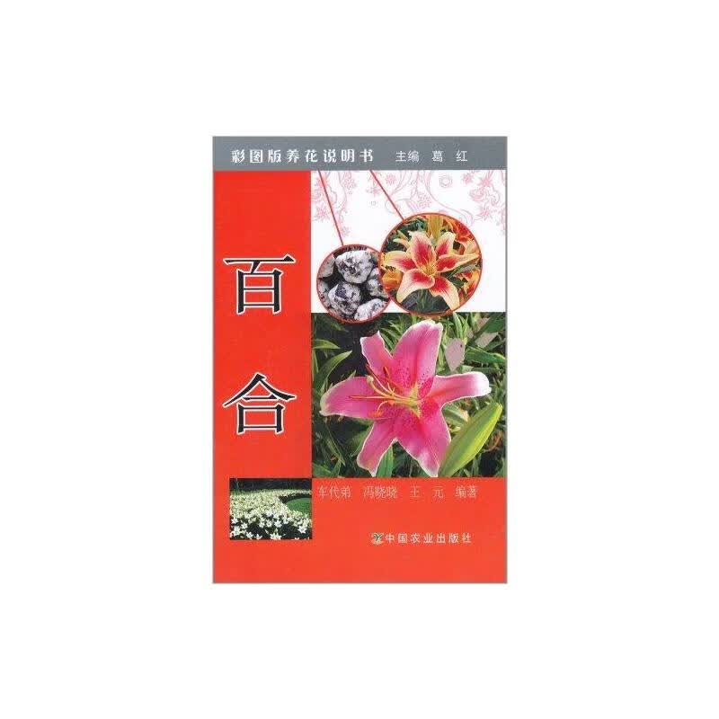 百合 车代弟 书籍