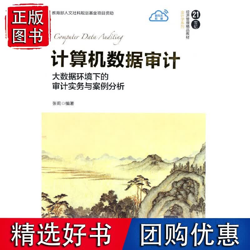 计算机数据审计——大数据环境下的审计实务与案例分析