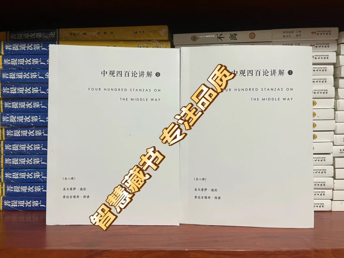 中观四百论 上下全 索师
