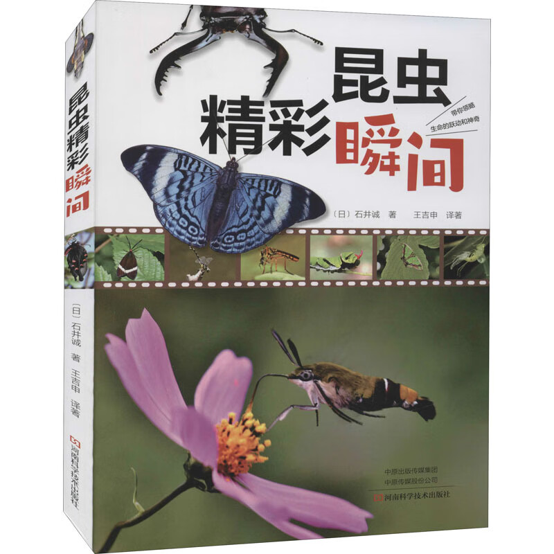 昆虫精彩瞬间 图书