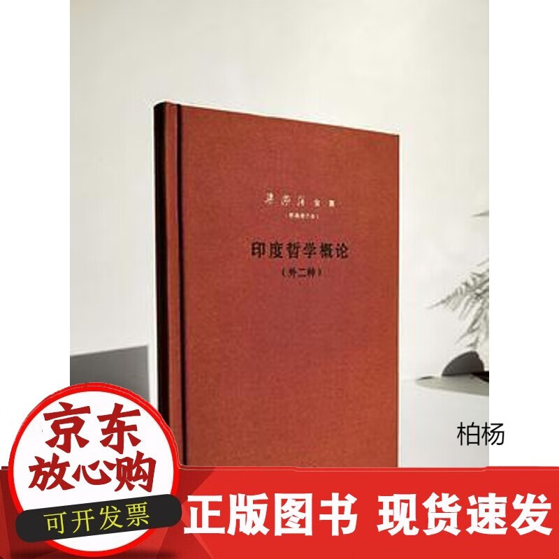 速发 印度哲学概论:外二种梁漱溟9787101131321中华书局