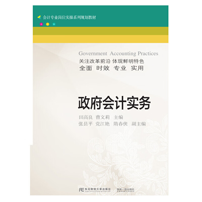 【现货】政府会计实务