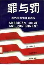 罪与罚现代美国犯罪面面观