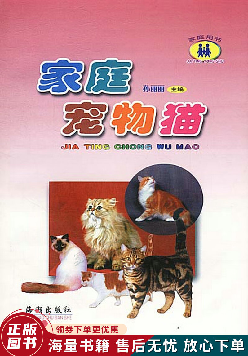 家庭宠物猫