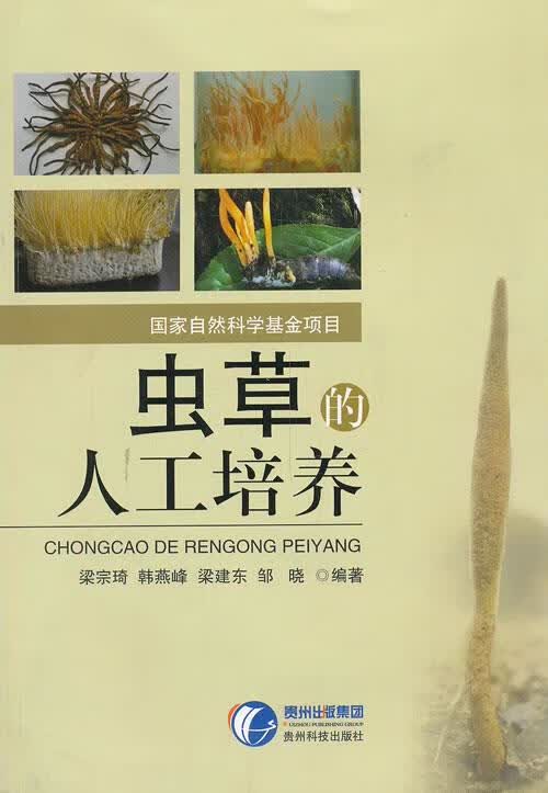 虫草的人工培养