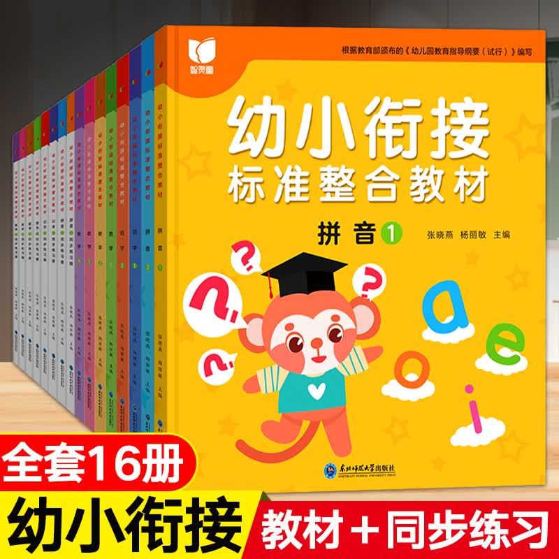 全套16册幼小衔接标准整合教材识字拼音描红同步练习一日一练学前班教材2-3-4-5-6岁学前必读书籍