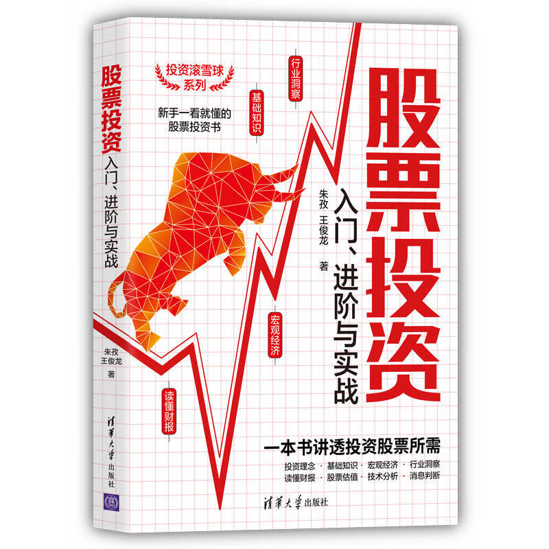 股票投资入门、进阶与实战 图书