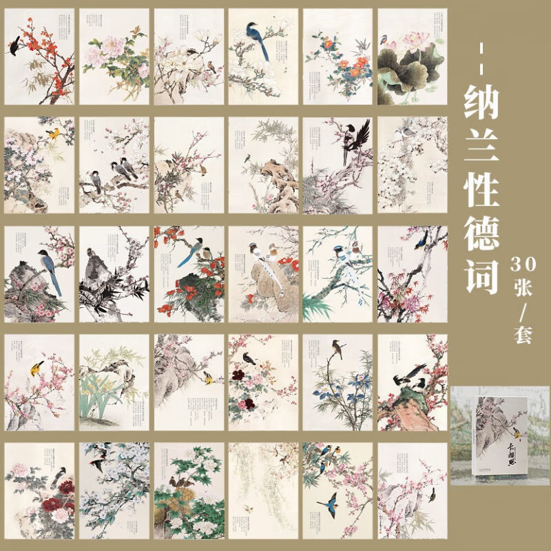 雅迎 致青春明信片青春正能量唯美古风诗词手绘歌词情人节礼品贺卡 纳兰性德诗词选(30张)