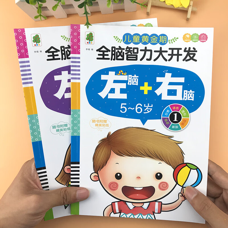儿童2-3岁全脑开发3-4岁黄金期左右脑大开发逻辑思维训练3-6岁智力开发益智玩具动手动脑幼儿2到3-4-5-6岁以上专注力训练书籍 全脑智力大开发左脑+右脑5-6岁 全2册