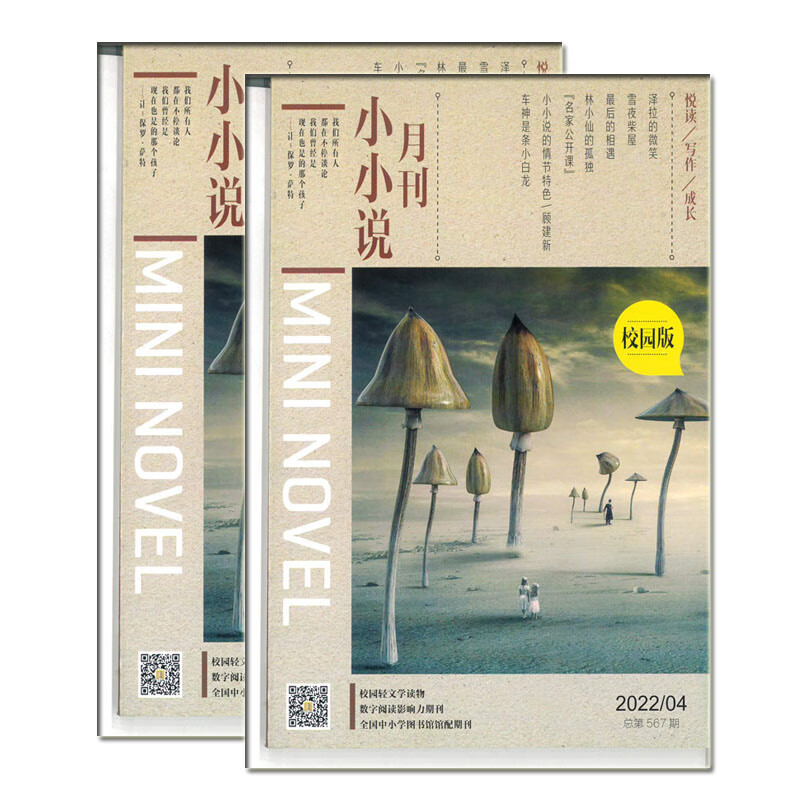 小小说月刊杂志2022年微型短篇文学作家意林校园文摘 7月上下13-14期
