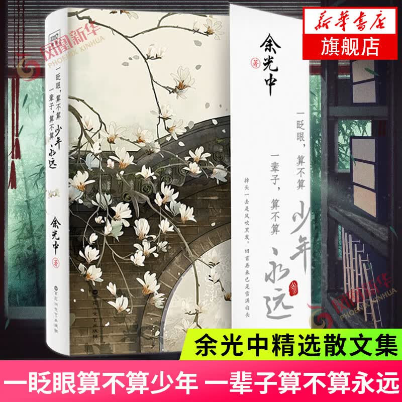 一眨眼算不算少年 一辈子算不算永远 余光中先生精选散文集书写每一代人不可忘却的年少记忆 经典散文阅读书籍 凤凰旗舰店
