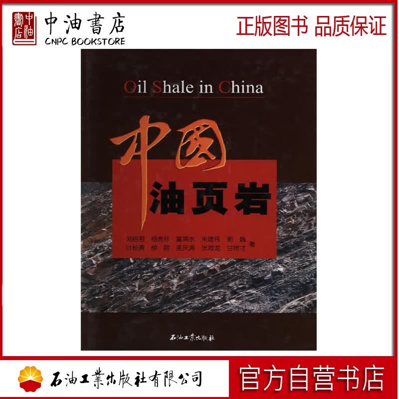 中国油页岩 石油工业出版社 9787502170073