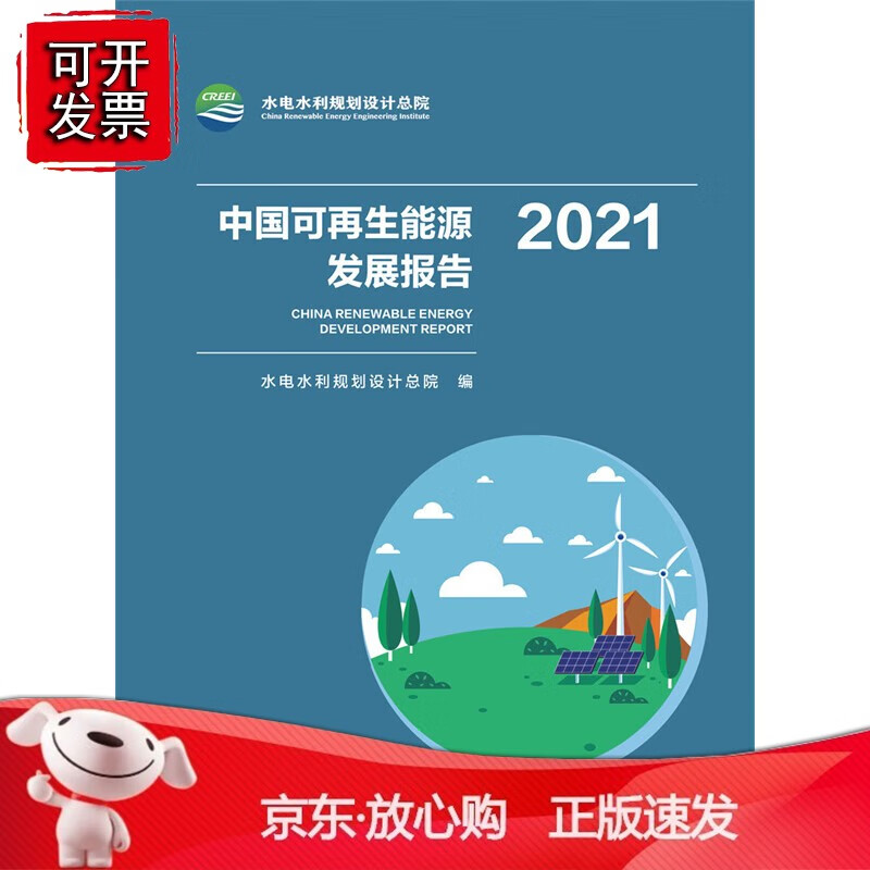 中国可再生能源发展报告2021