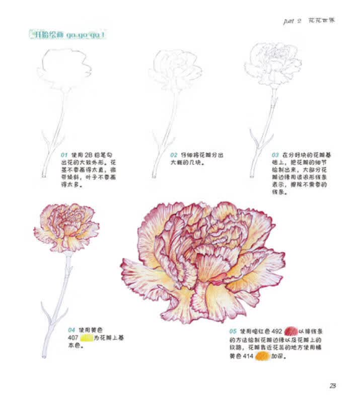甜蜜生活绘 花花世界【特惠】