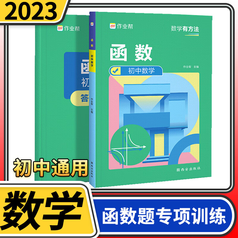 作业帮进阶100函数初中数学 初一初二初三函数题专项训练数学练习册七八九年级中考解题技巧专项训练总复习辅导资料书