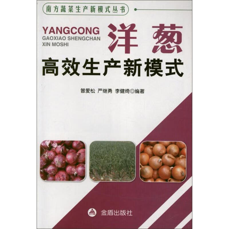 洋葱高效生产新模式