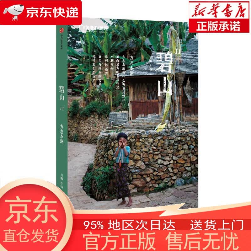 碧山11·方志小说 左靖 著 中信出版集团出版社