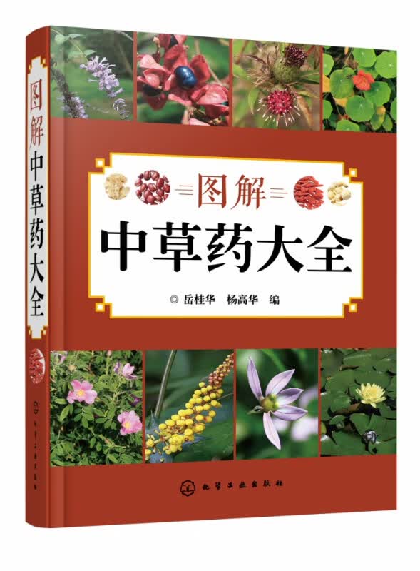 图解中草药大全