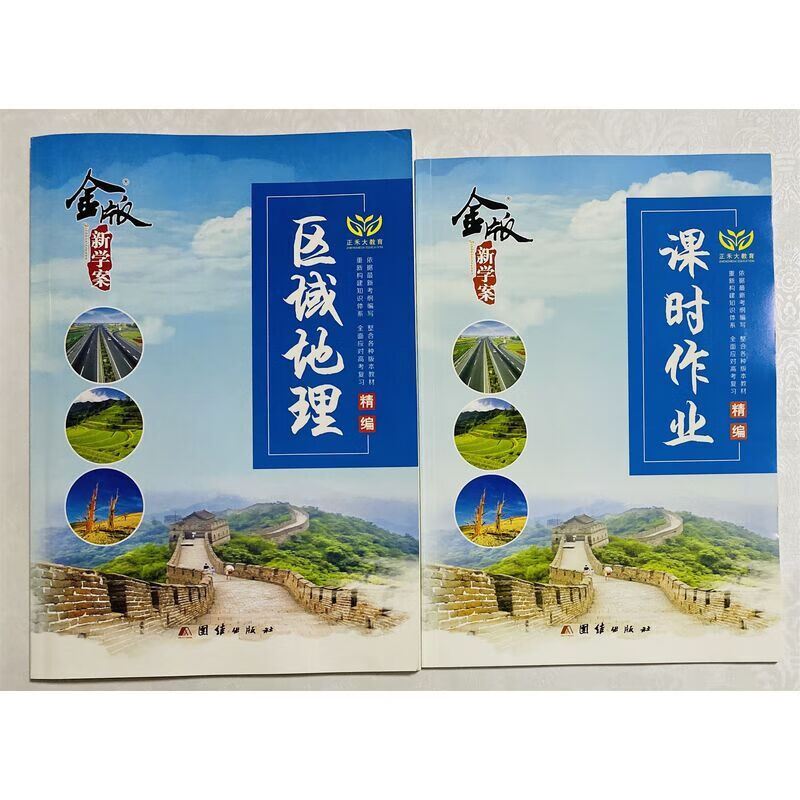 2021正禾大 金版新学案 精编区域