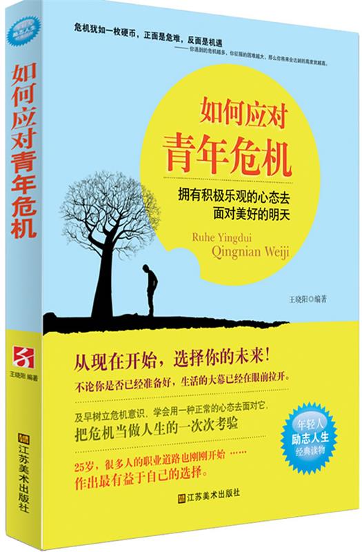 如何应对青年危机 王晓阳著