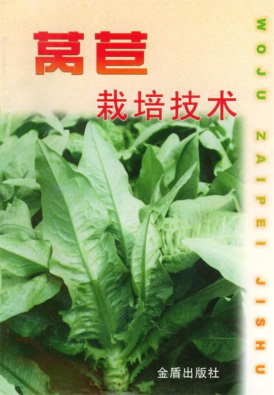 莴苣栽培技术