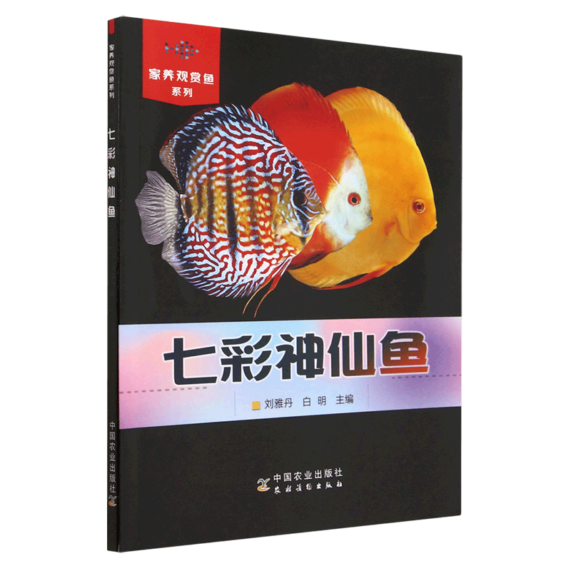 七彩神仙鱼/家养观赏鱼系列