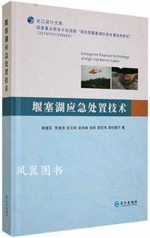 堰塞湖应急处置技术