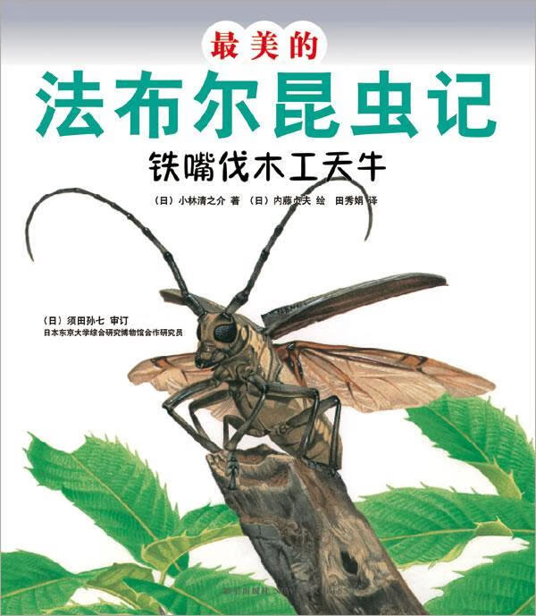 美的法布尔昆虫记:铁嘴伐木工天牛 (日)小林清之介