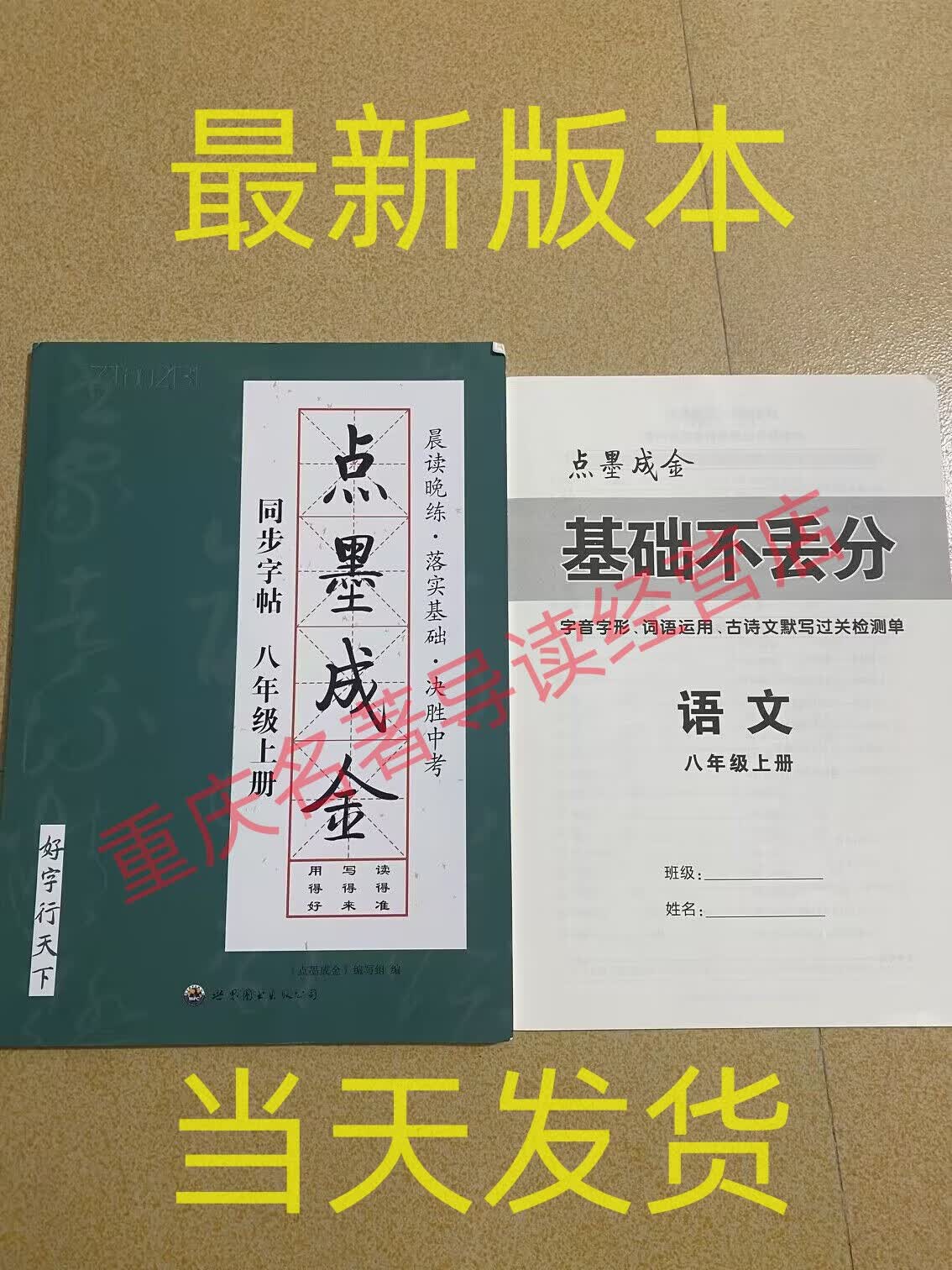 2023新版点墨成金初中语文同步字帖八年级上册同步字帖语文千字帖 点墨成金 八年级上册 语文 初中通用