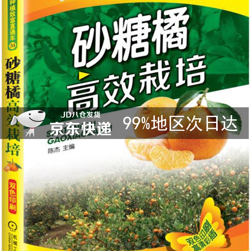 砂糖橘高效栽培