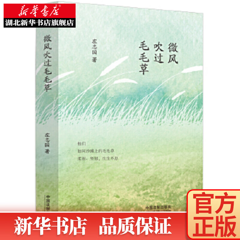微风吹过毛毛草