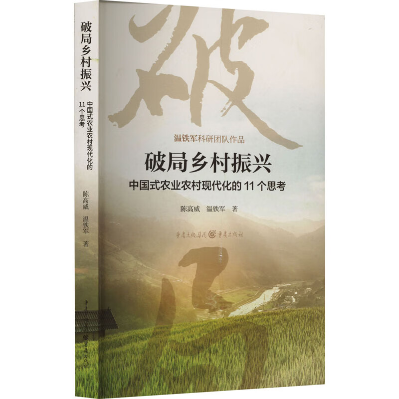 破局乡村振兴 中国式农业农村现代化的11个思考 图书