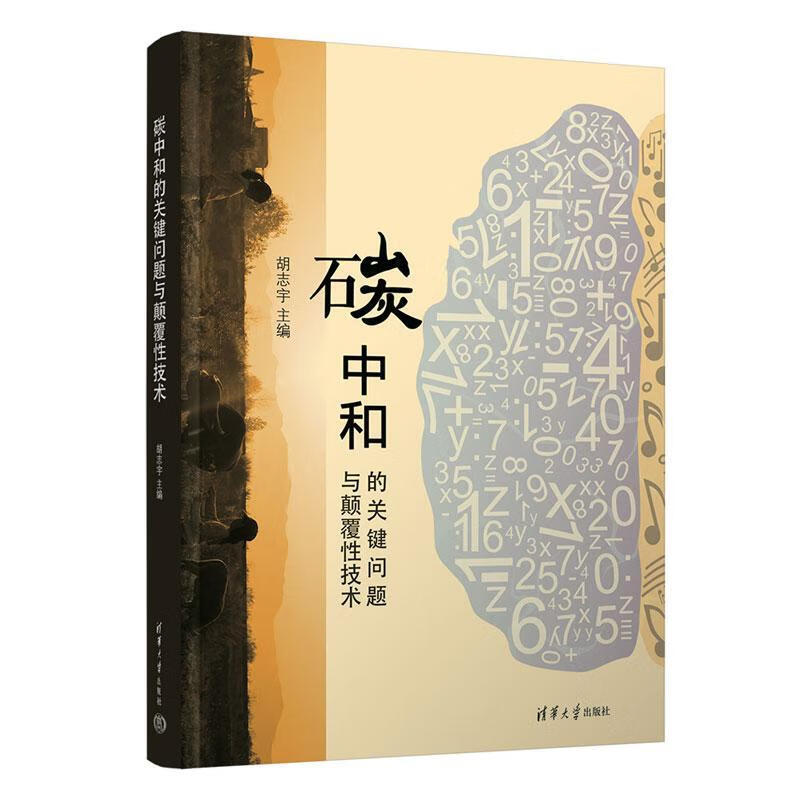 碳中和的关键问题与颠覆性技术书9787302621096 胡志宇清华大学出版社科学与自然 书籍