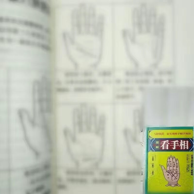 图解相书男女相学大全手相面风水416页书籍给你 单本 看手