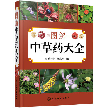 图解中药大全