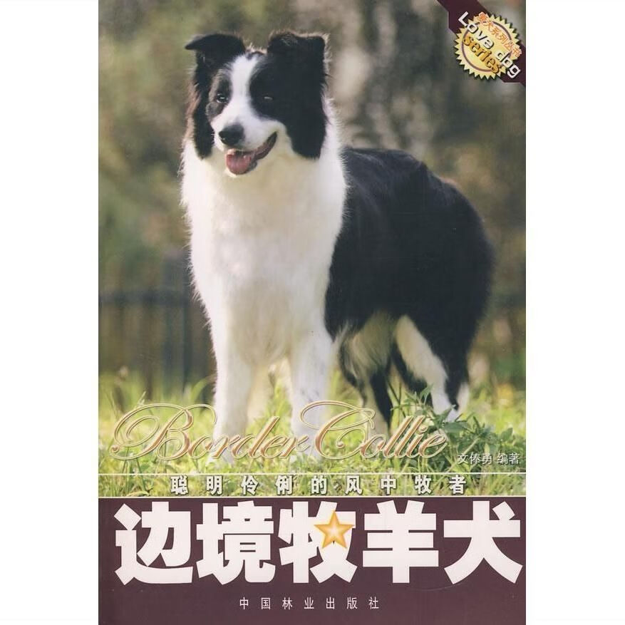 《书本》边境牧羊犬 文俸勇 编著 中国林业出版社