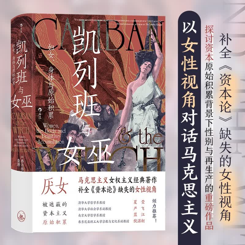 凯列班与女巫 妇女、身体与原始积累 智慧宫丛书021 妇女身体史研究 马克思主义女权主义书籍