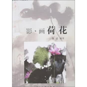 影-画荷花