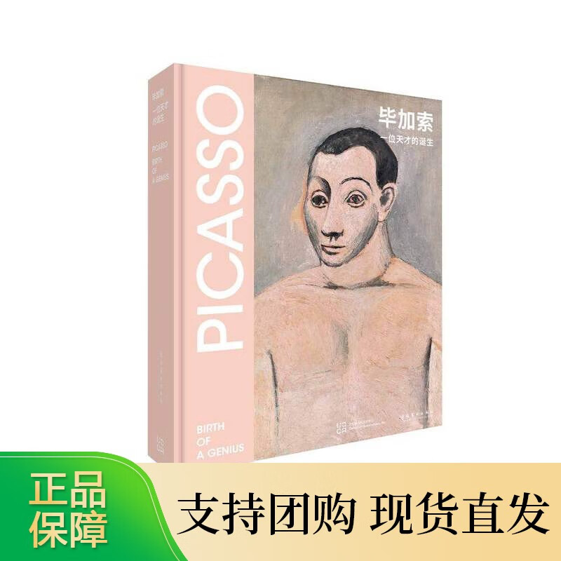 毕加索——一位天才的诞生 UCCA展览中英双语图录 艺术画册